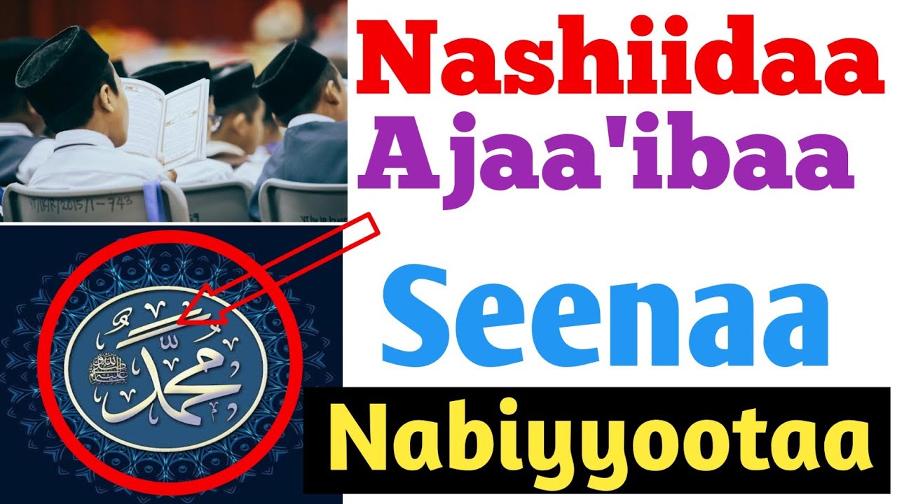 Nashida Ajaaibaa Seenaa Nabiyyootaa | New Oromo Nashiidaa | Seenaa ...