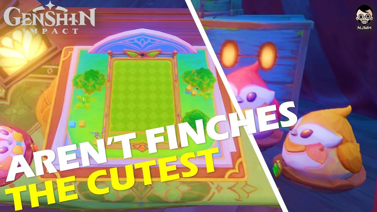 Aren't Finches the Cutest | Genshin Impact - YouTube