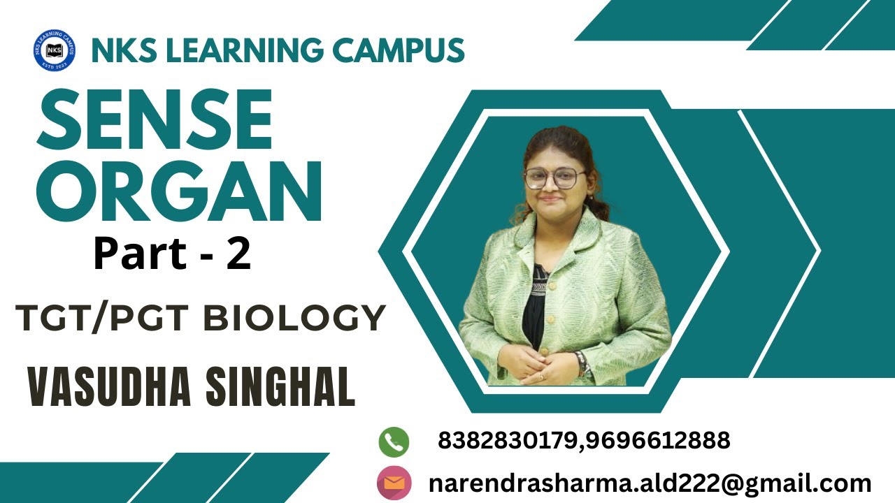 SENSE ORGAN || PART-2 || TGT/PGT BIOLOGY || BY VASUDHA SINGHAL - YouTube