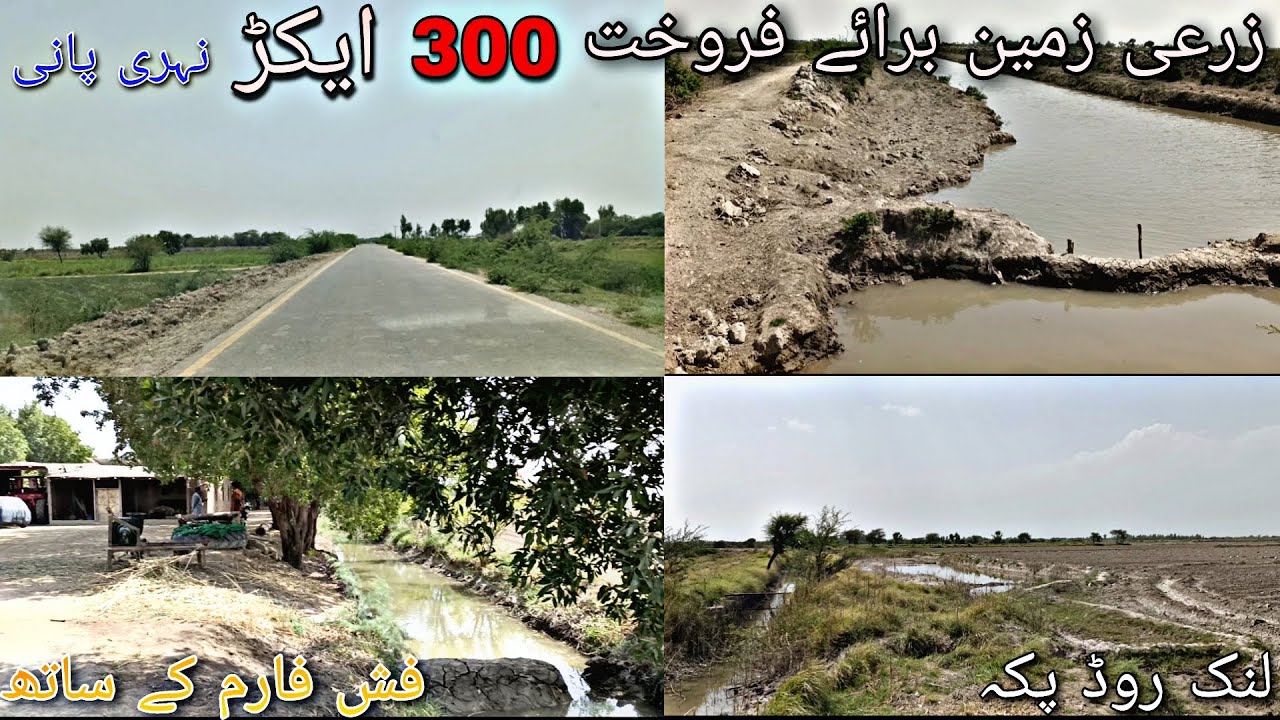 Agriculture land for sale 300 acres | With fish farm - YouTube