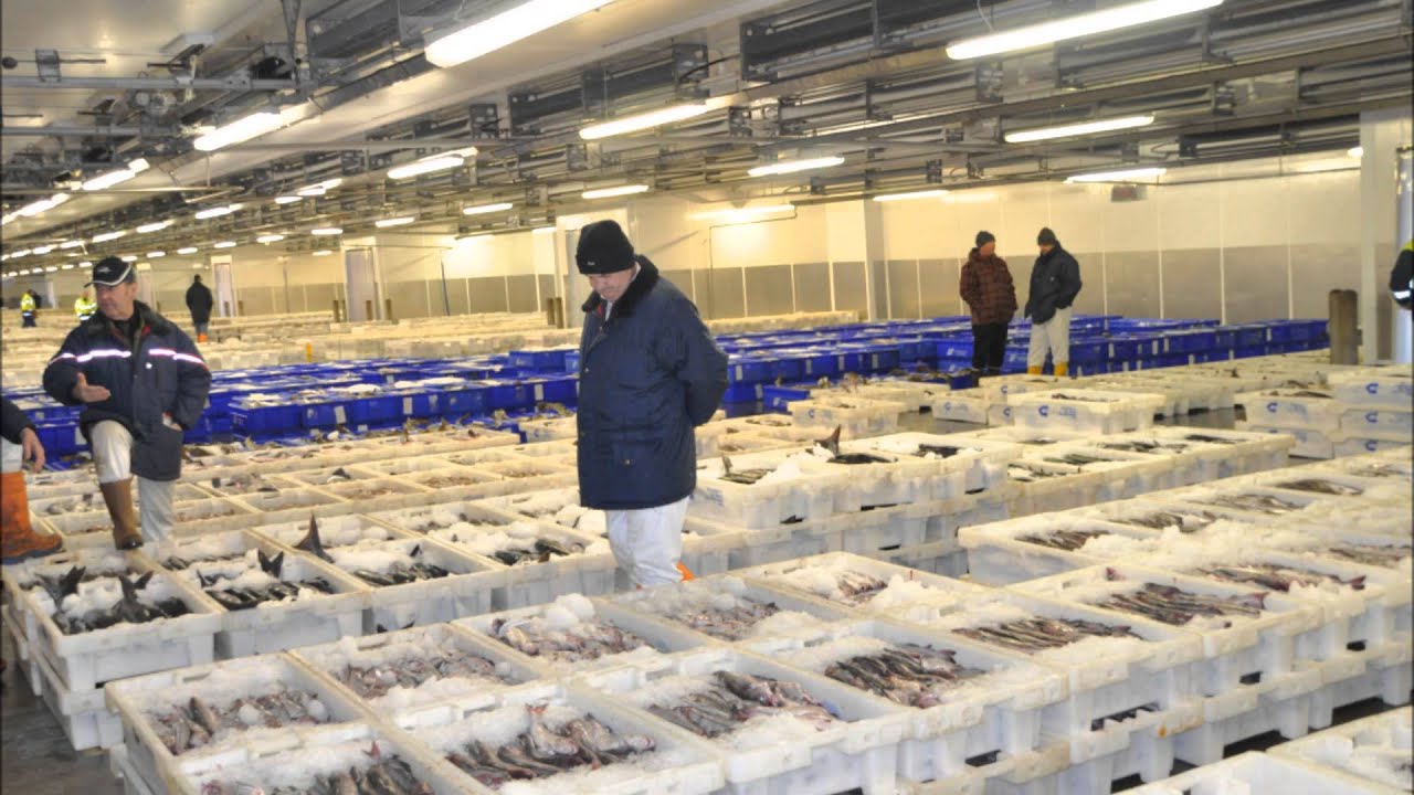 Peterhead Fishmarket 24th May 2013 - YouTube
