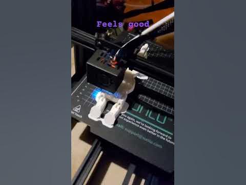 still winning #dprinting #3dprinting #dprint #3dprinter #printing3d #nationalholiday #diy ...