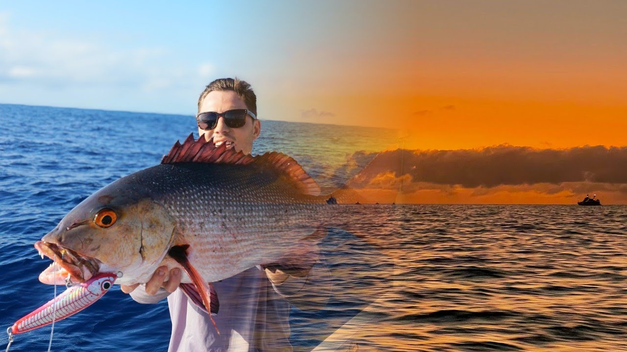 SENDING NORTH IN THE NEW BOAT! Exploring More of the Great Barrier Reef ...