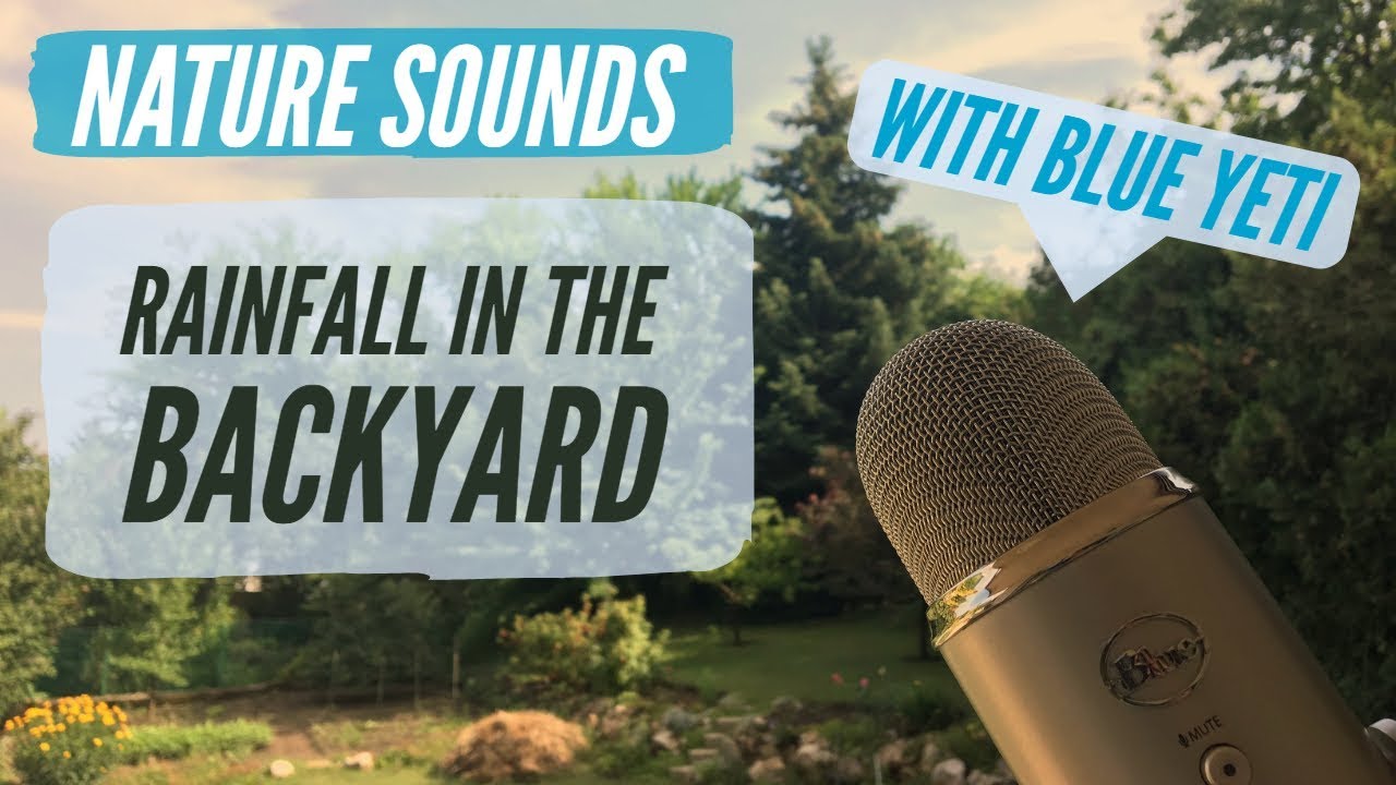 1 Hour Nature Sounds - Relaxation - with Blue Yeti Mic - YouTube