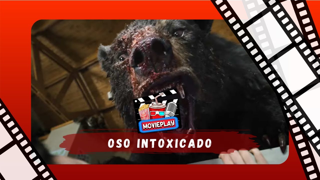 OSO INTOXICADO 😱 / CREA DIGITAL - YouTube