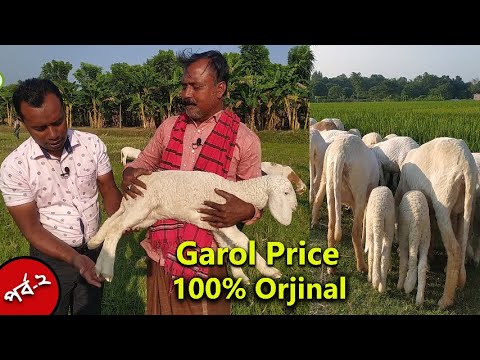 ১০০% অরজিনাল গাড়লের মূল্য কত জানুন । Orjinal garol price । garol ...