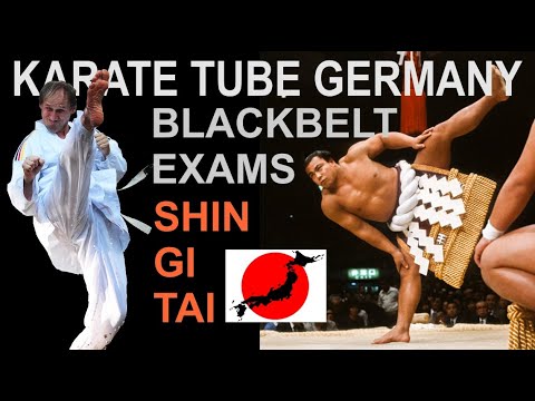 THE PRINCIPLE OF SHIN GI TAI - KARATE BLACKBELT EXAMINATIONS - YouTube