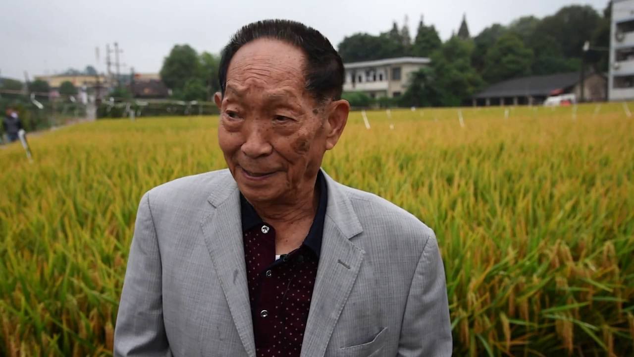 SinoGrain - sustainable grain production in China - YouTube