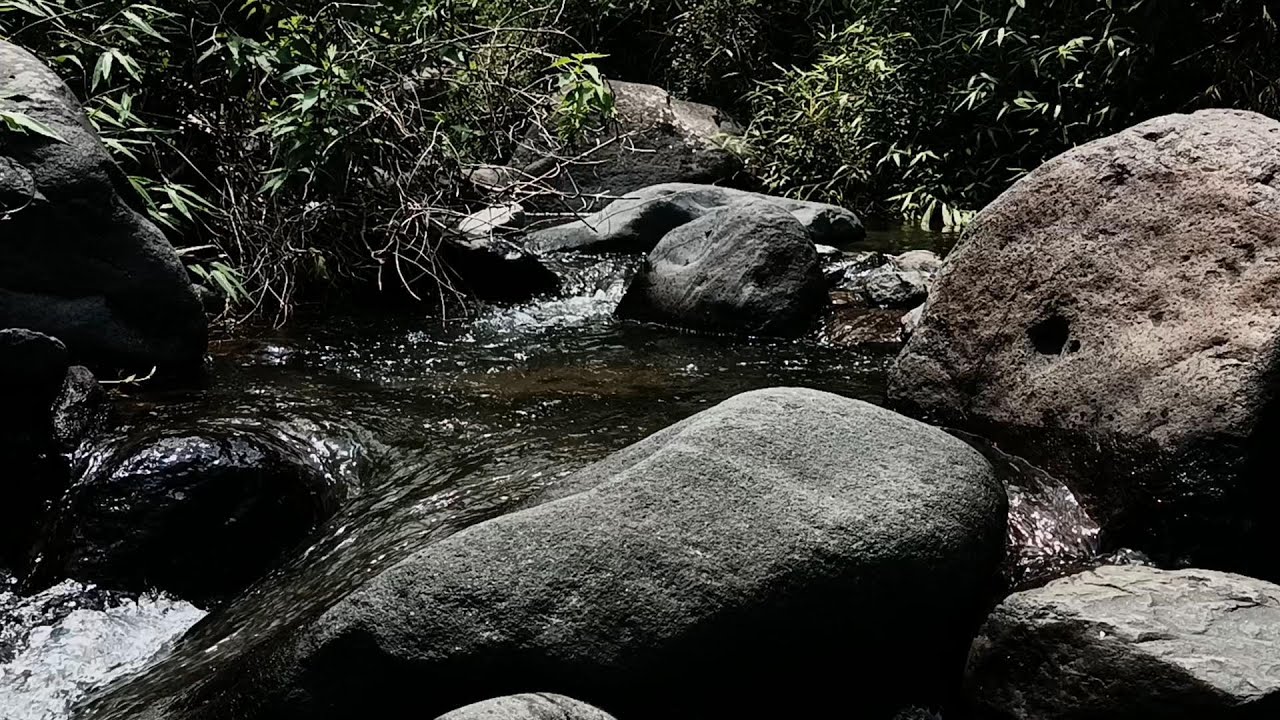 Calming Forest Stream - White Noise for Heal Stress, Anxiety and Depression, Relax your Mind#17 ...