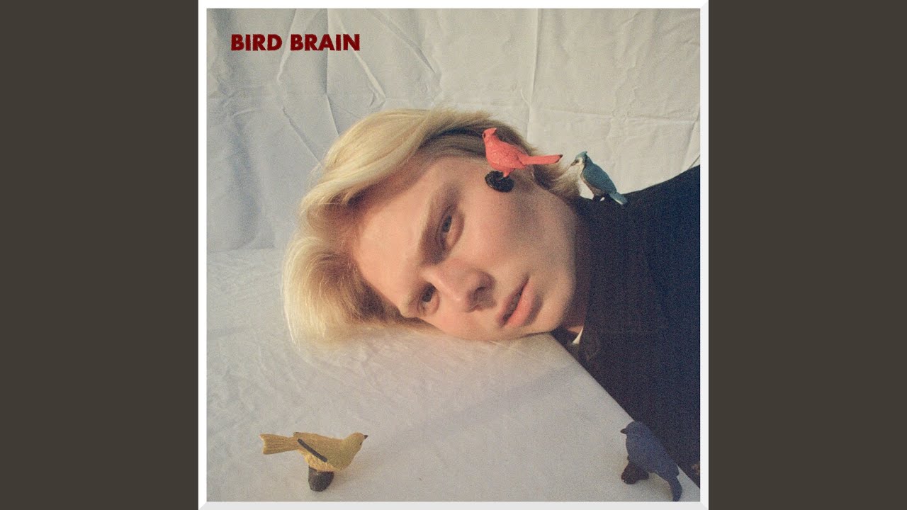 bird brain - YouTube Music