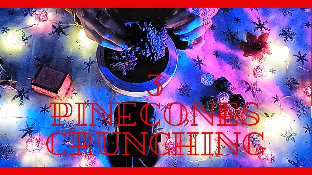 On the 3rd Day of Tingles my True Friend Sent to me, - YouTube