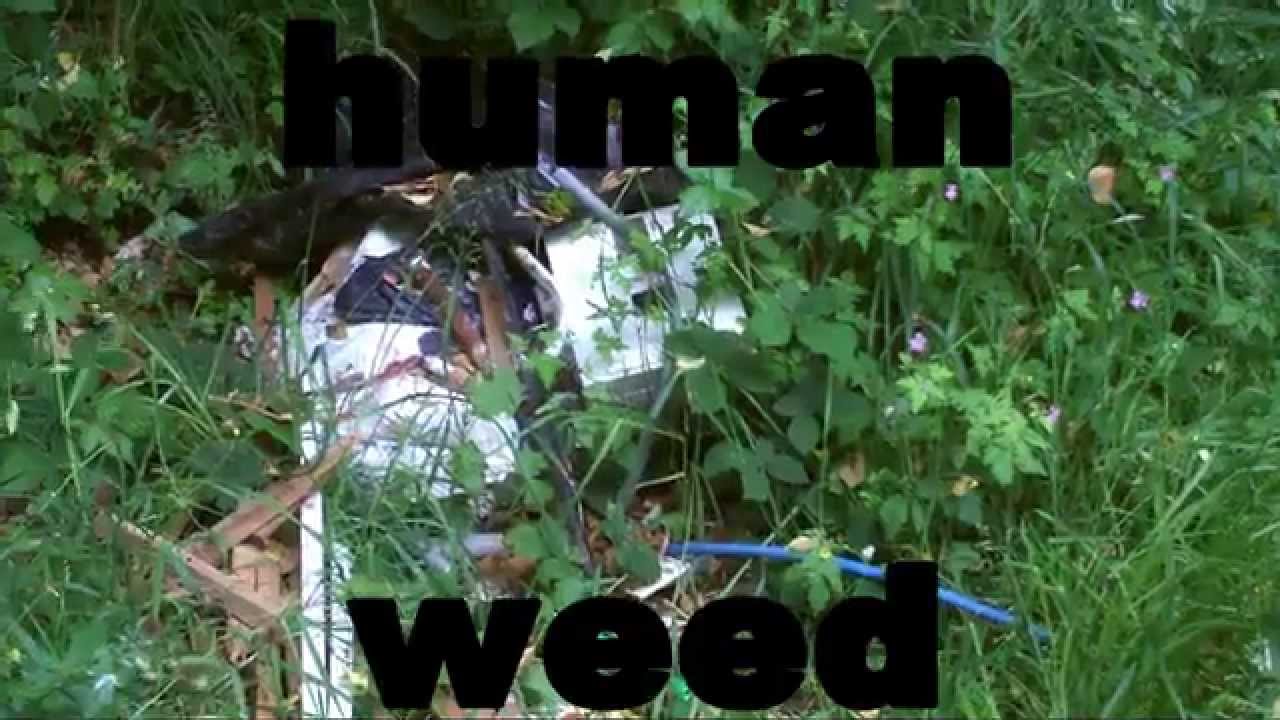 human weed construction trash - YouTube