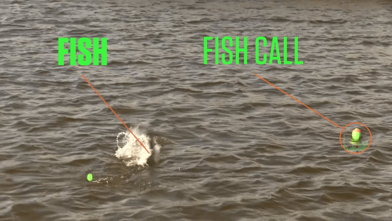 What's a Fish Call? - YouTube