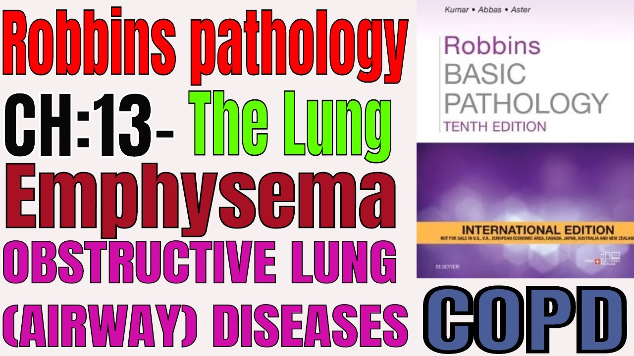 the lung pathophysiology-Emphysema-COPD-robbins basic pathology - YouTube