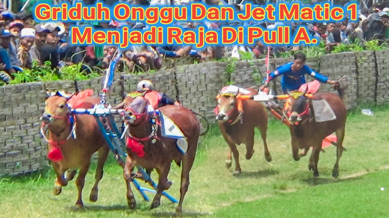 Griduh Onggu Dan Jet Matic 1 Menjadi Raja Di Pull A, Babak Pertama Pull ...