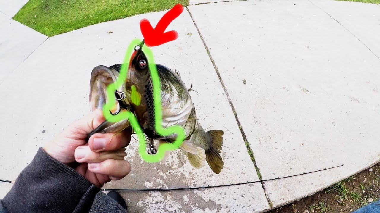 First top water fish of the year! |Whopper Plopper| - YouTube