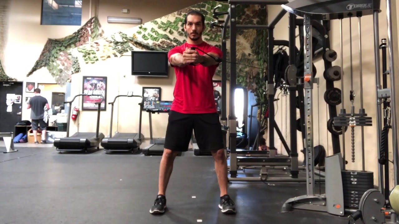 Cable Standing Anti-rotation Hold - YouTube