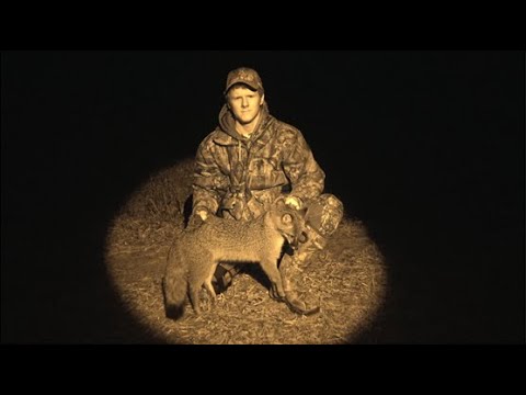 Western PA Fox Hunt! - YouTube