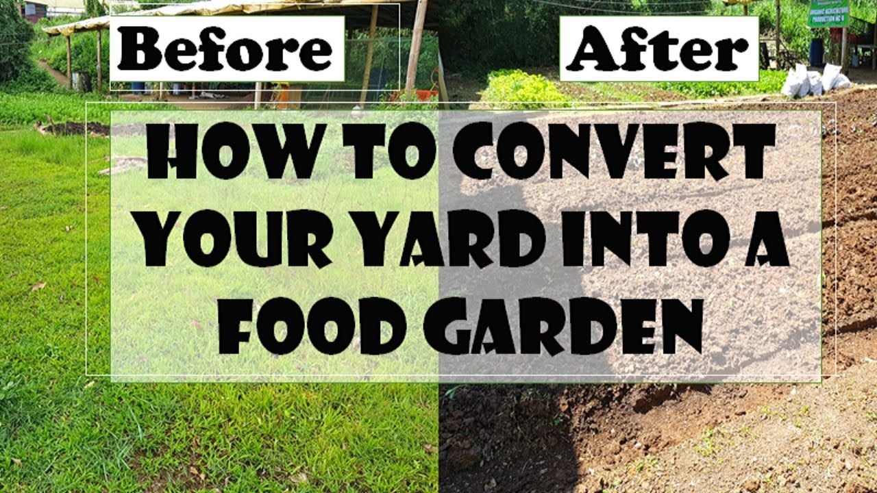 How to Convert Your Backyard into a Food Garden - YouTube
