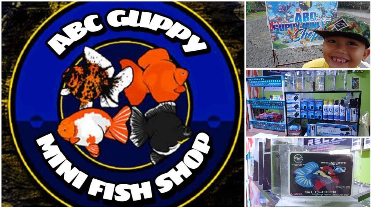 10 pesos may fish kana/ ABC Guppy Mini Fish Shop - YouTube