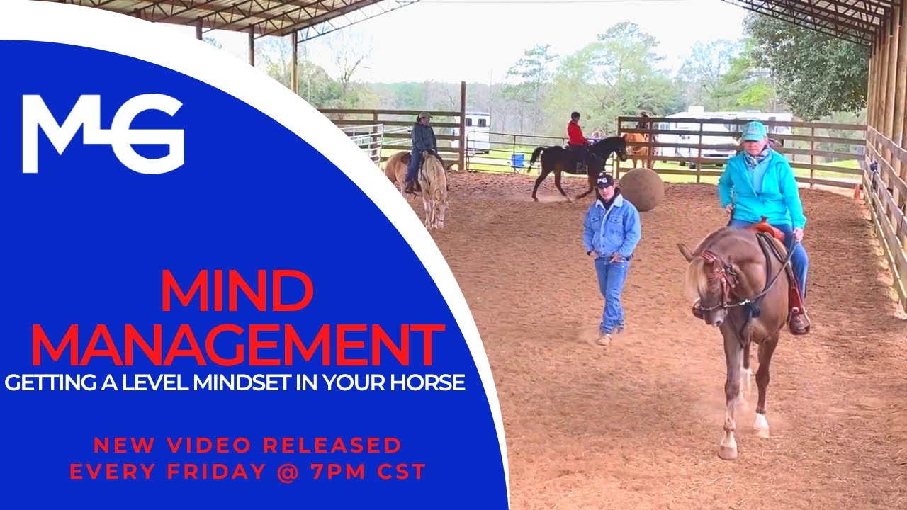 Getting A Level Mindset In Your Horse | The Horse Guru - Michael Gascon ...