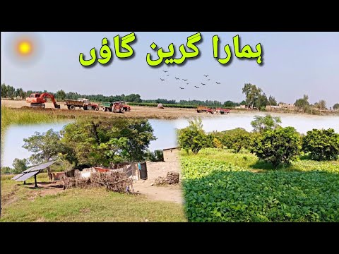 Pak village vlog | Village life in Pakistan | Badar Munir vlog - YouTube