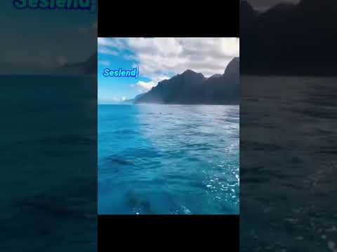 Duygusal Fon Müziği, Ağır Sözler,Aşk sözleri,Ruha dokunan nağmeler, Harika Sözler, Aşk,Sevgi