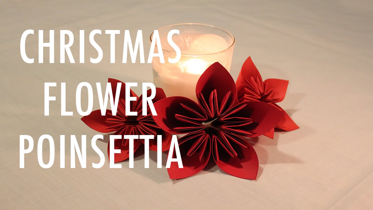 DIY CHRISTMAS/HOLIDAY FLOWER: POINSETTIA - YouTube