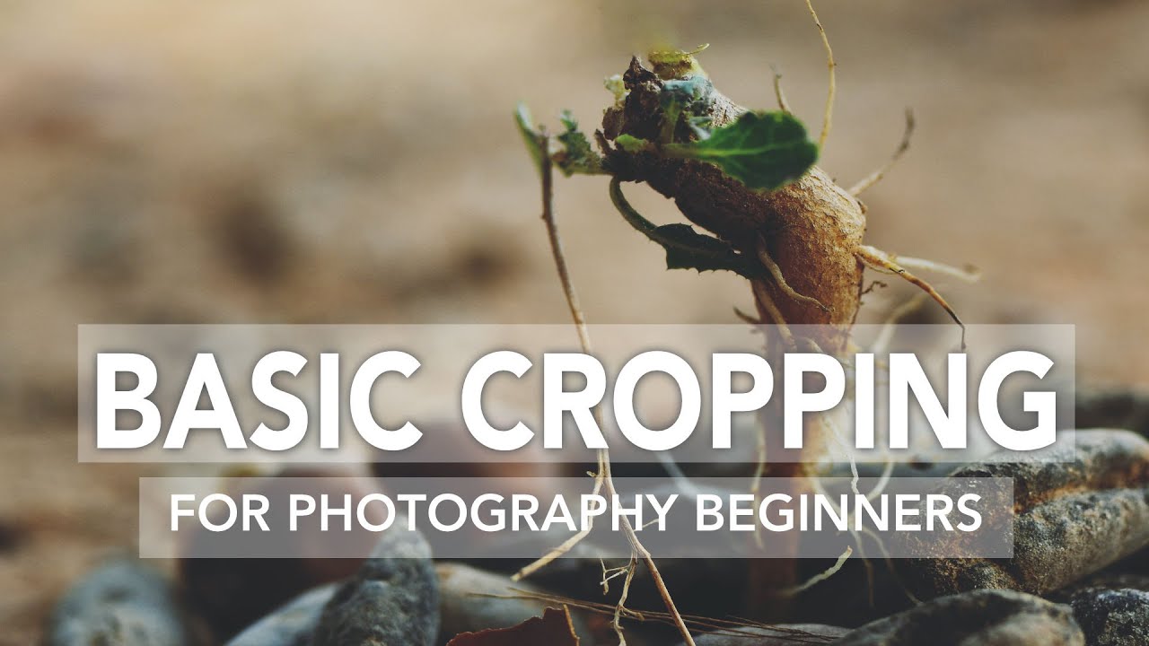 Cropping & Framing - Basic Photography for Beginners - YouTube