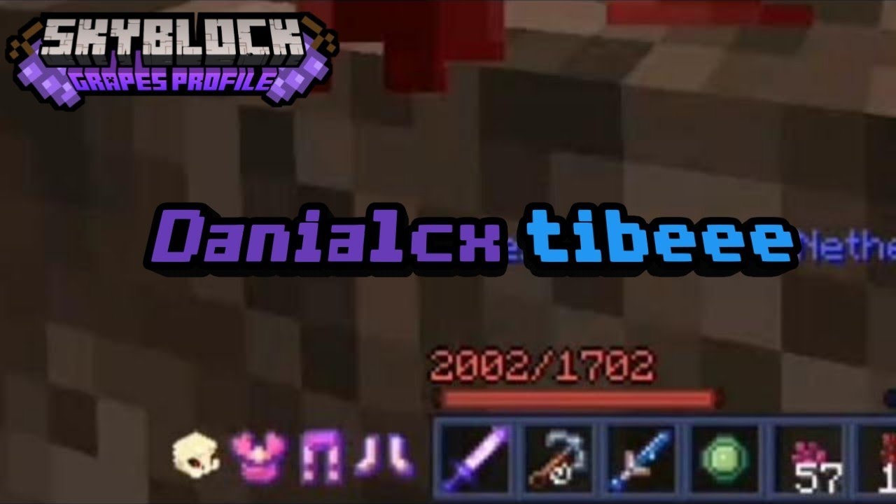 Danialcx tibeee || Hypixel Skyblock [Grapes Profile] - YouTube