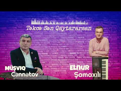 Təkcə Sən Qaytararsan (Şeir)