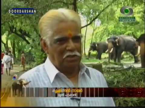 Gajarajan Guruvayoor Kesavan - YouTube