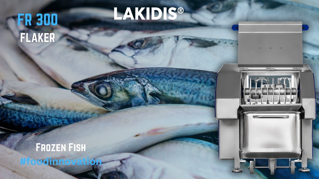 FR300 processing of frozen fish block for dogfood - FR300 - YouTube