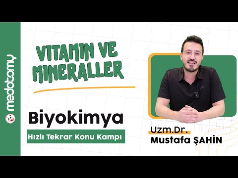 13  Vitamin & Mineraller
