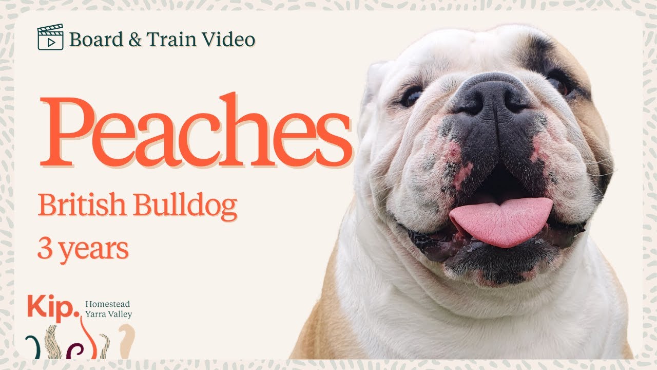 Peaches Training Video - YouTube