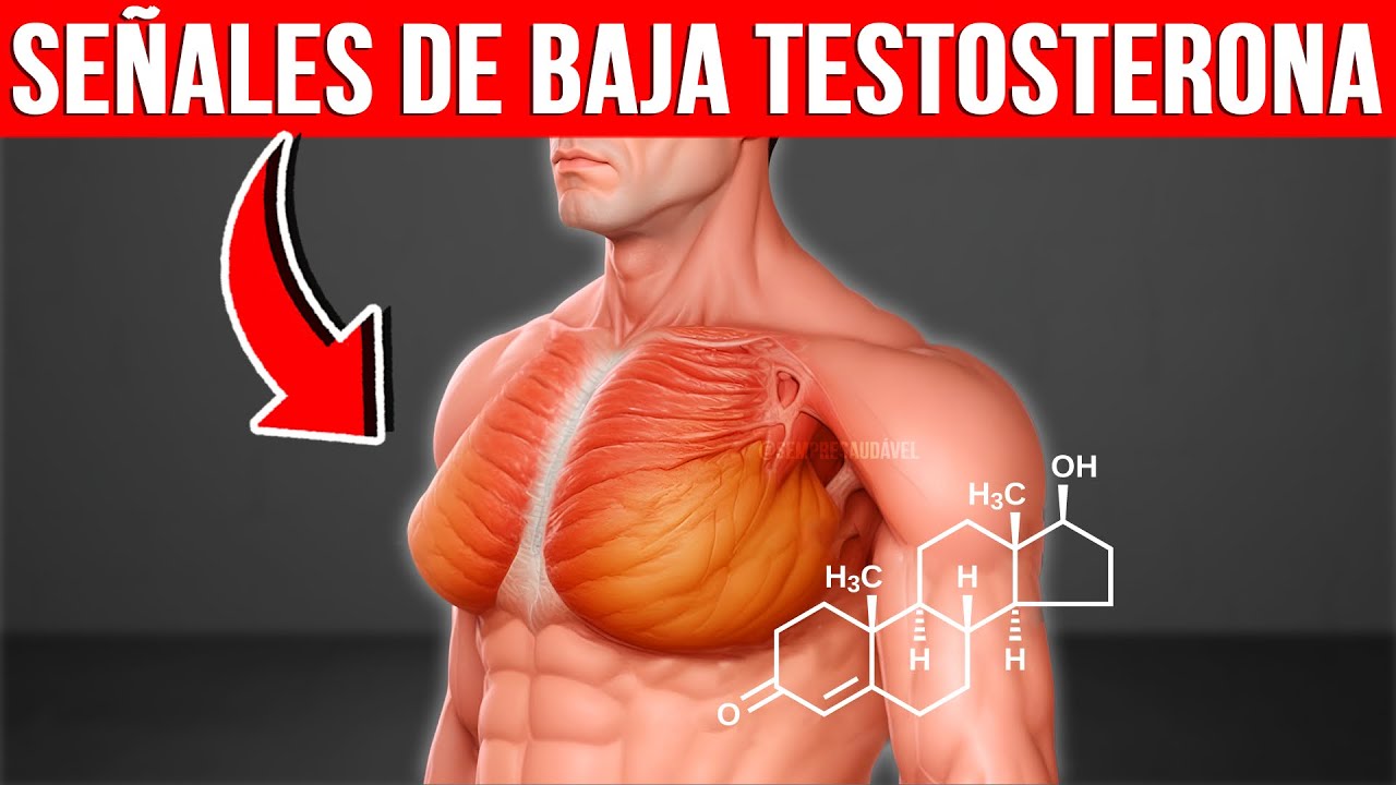 11 Señales de que tienes un Nivel Bajo de Testosterona (¡SOLUCIÓNALO ...