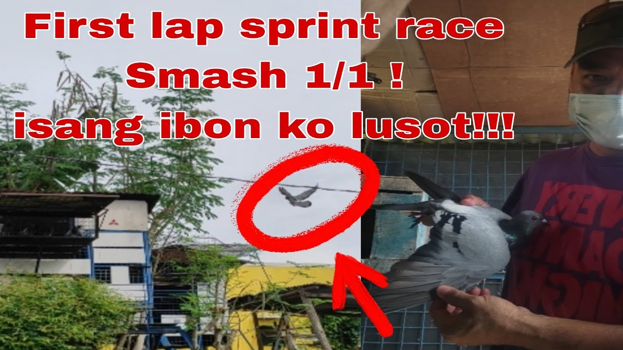First lap sprint race, SMASH 1/1! - YouTube