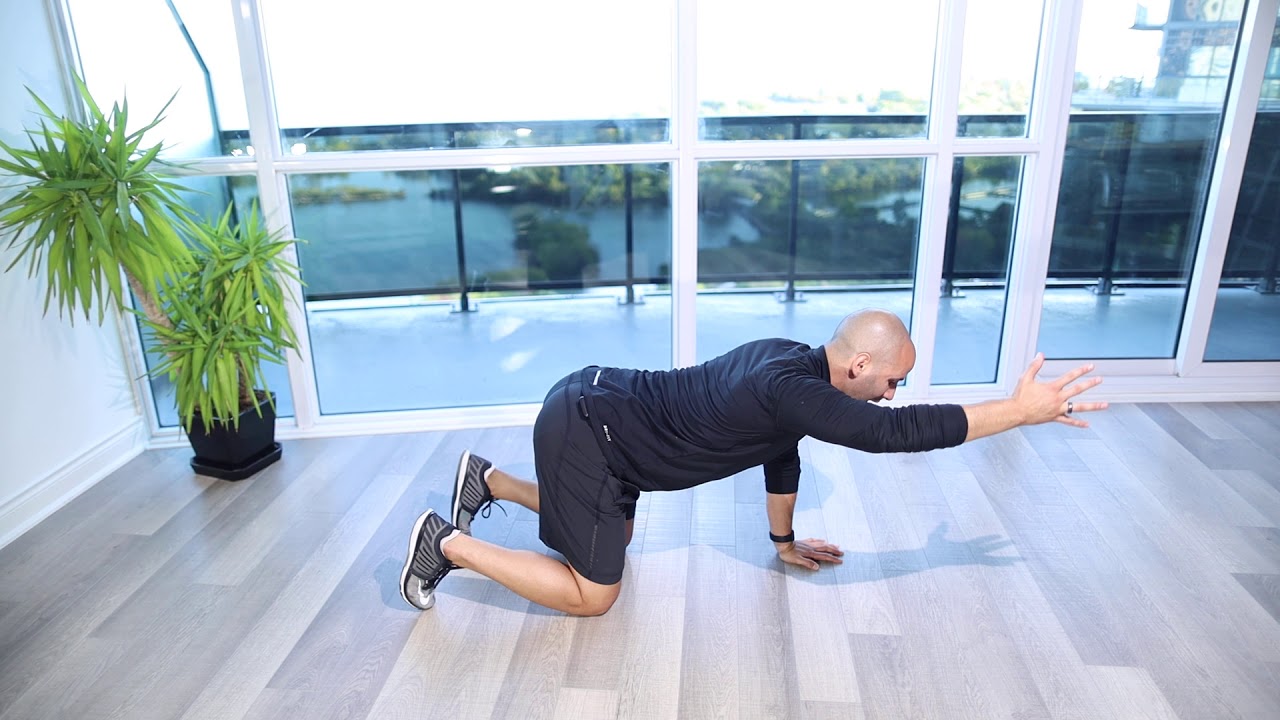 Bird Dog Arms Only - YouTube