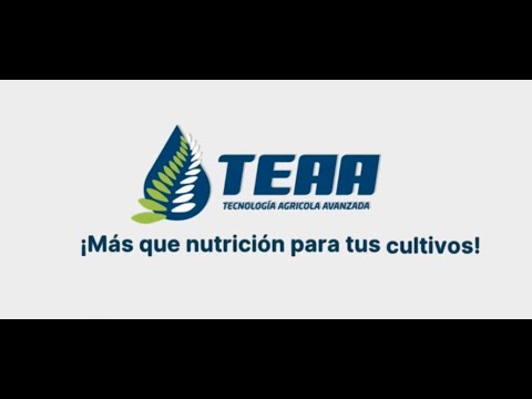 Video Corporativo TEAA - YouTube
