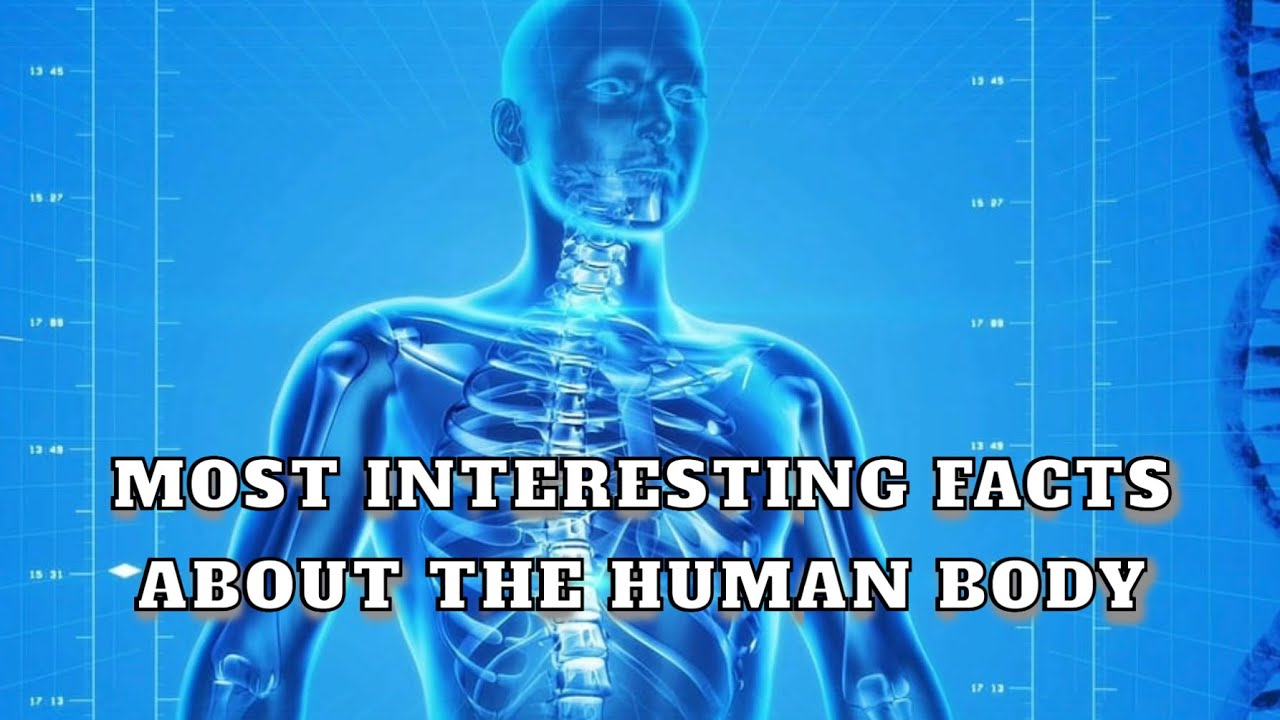 the complexity of the human body - YouTube