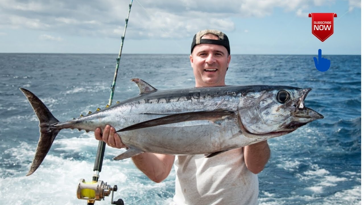 Amazing Fast Tuna Fishing Skill, Catching Fish Big on The Sea l Most ...