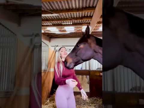 😱horse in sex mood #shortsfeed #shorts #trendingshorts #short