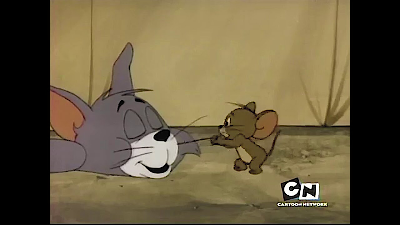 Tom and Jerry Show 1975 Eps 175 Stay Awake or Else Sub Indo - YouTube