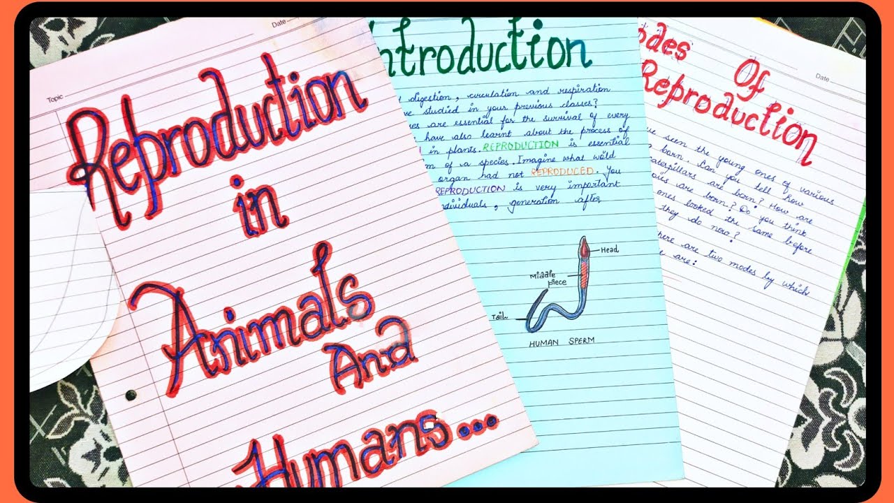 Project on reproduction in animals and humans| Reproduction in animals ...
