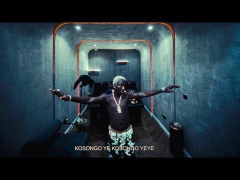 TML Vibez - Diamond or Gold (Visualizer)
