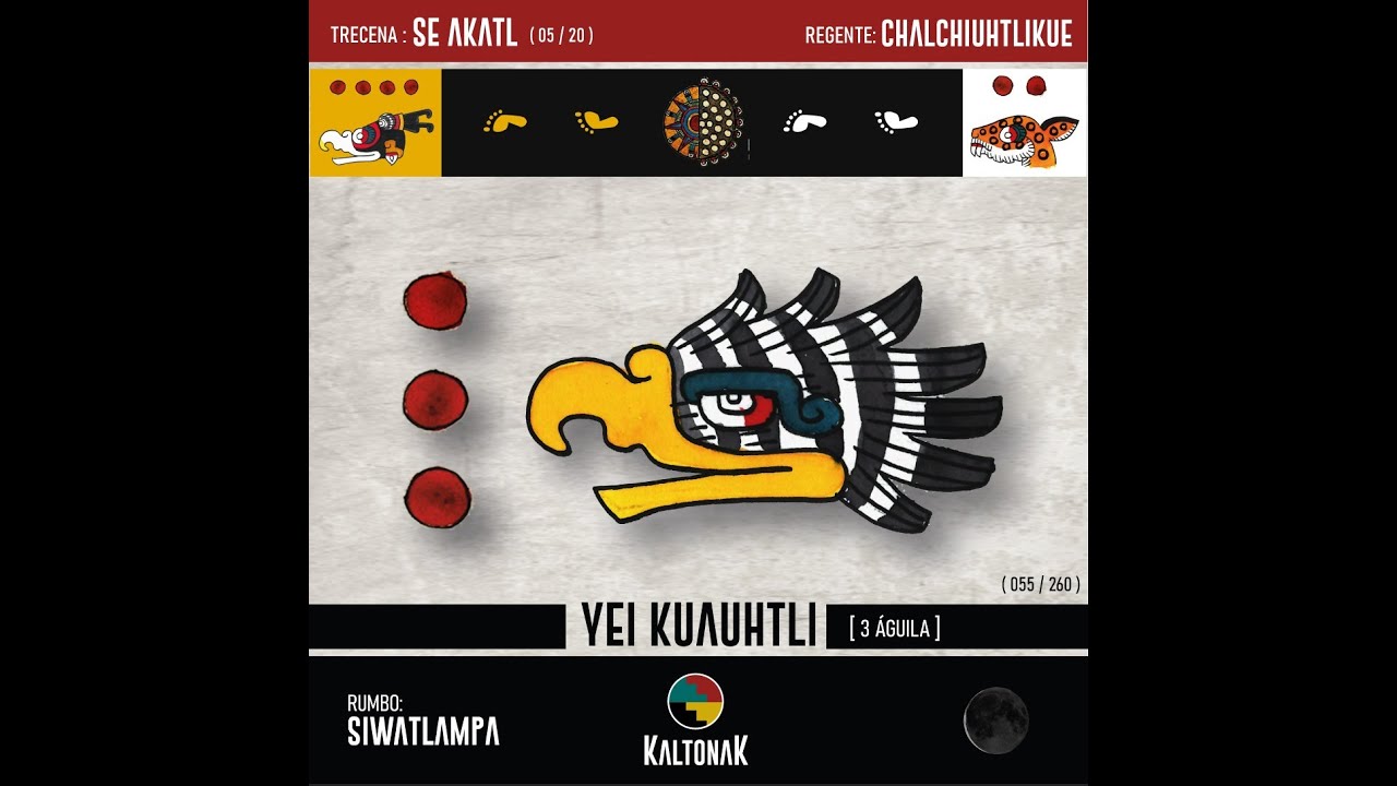 Tonalli Yei Kuauhtli / 3 Águila Lectura e interpretación - YouTube