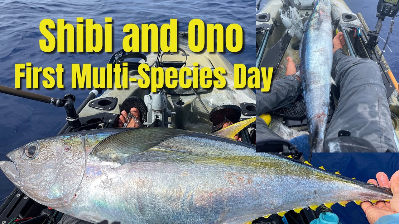 First Multi-Species Day - Shibi and Ono Combo - Hawaii Kayak Fishing ...