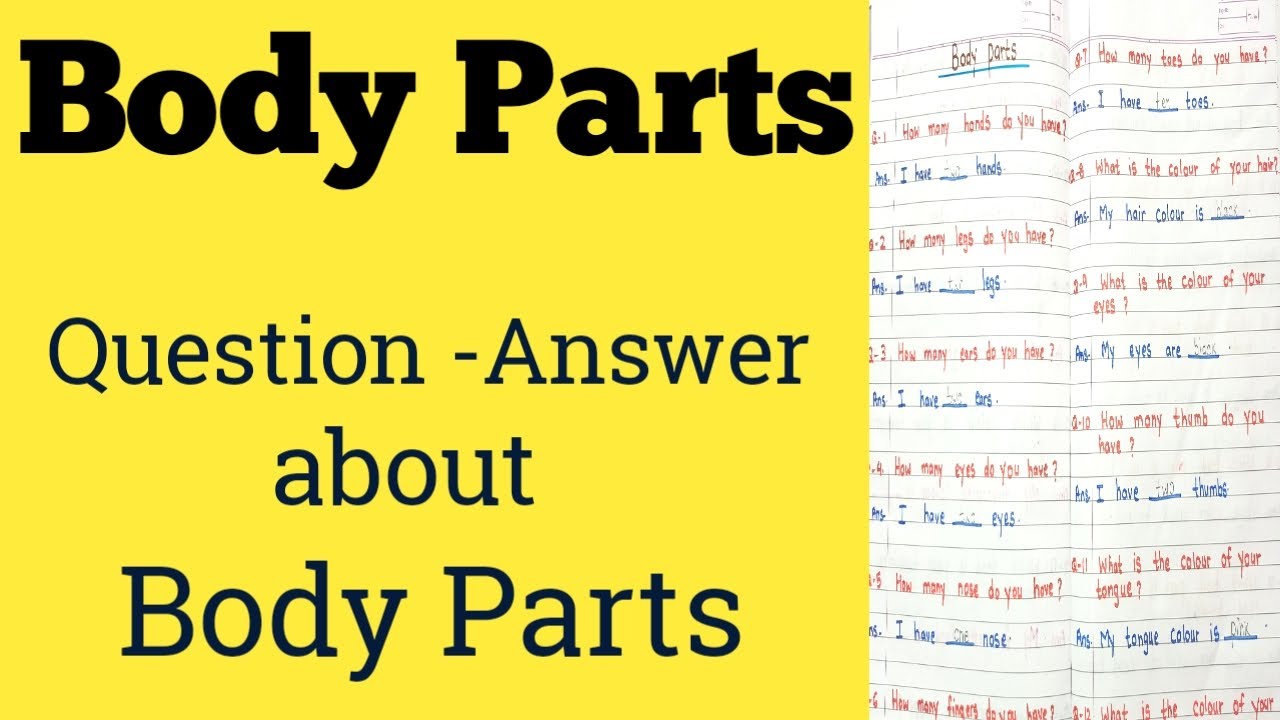 Body Parts|body parts|Question-Answer about Body Parts for ukg and ...