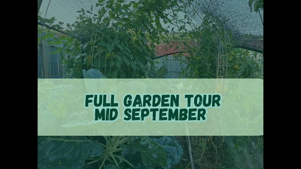 Full Mid September Garden Tour - YouTube