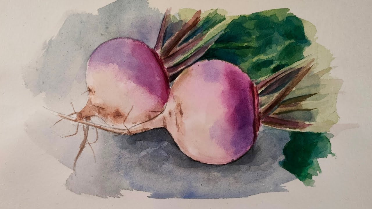 turnip painting with water colour | vegetable painting - YouTube